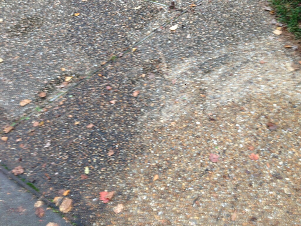 Is There an Effective Way to Clean This Aggregate with River Rock ...