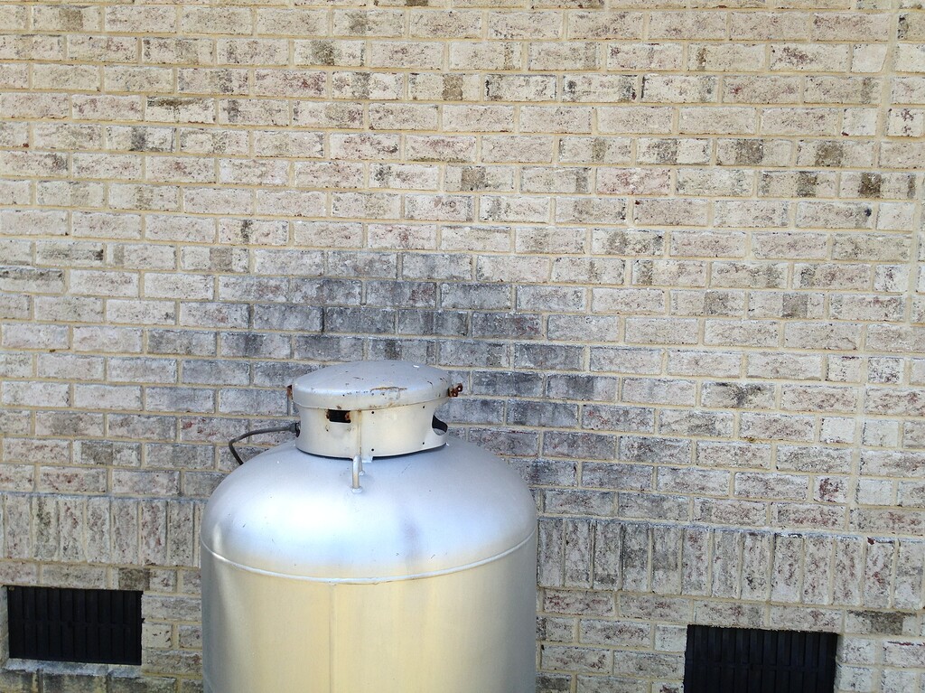 Mold on bricks - Pressure Washing Resource