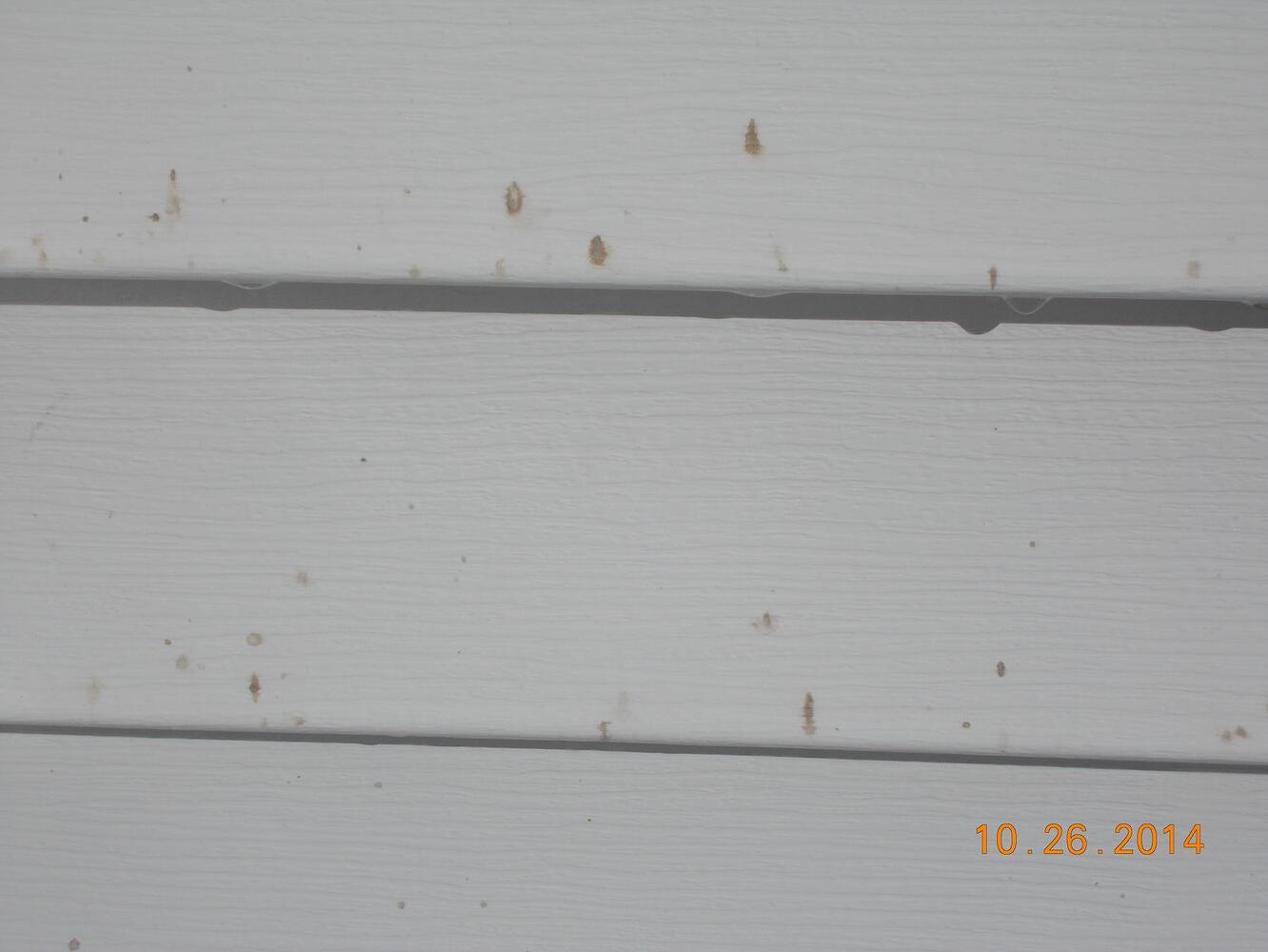 Spider droppings - Residential - Pressure Washing Resource