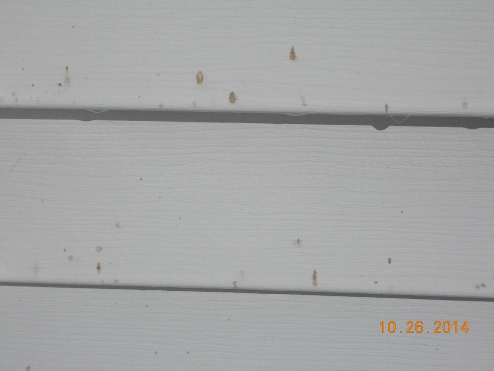 Spider droppings - Residential - Pressure Washing Resource