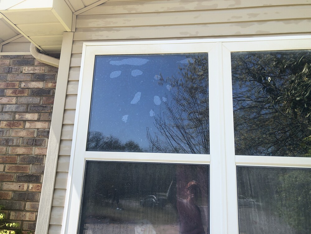 Orange discoloration around windows - Residential - Pressure Washing ...