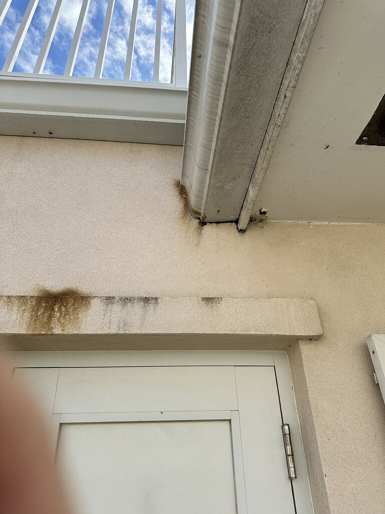Cleaning mildew on Aluminium Gutters - Residential - Pressure Washing ...