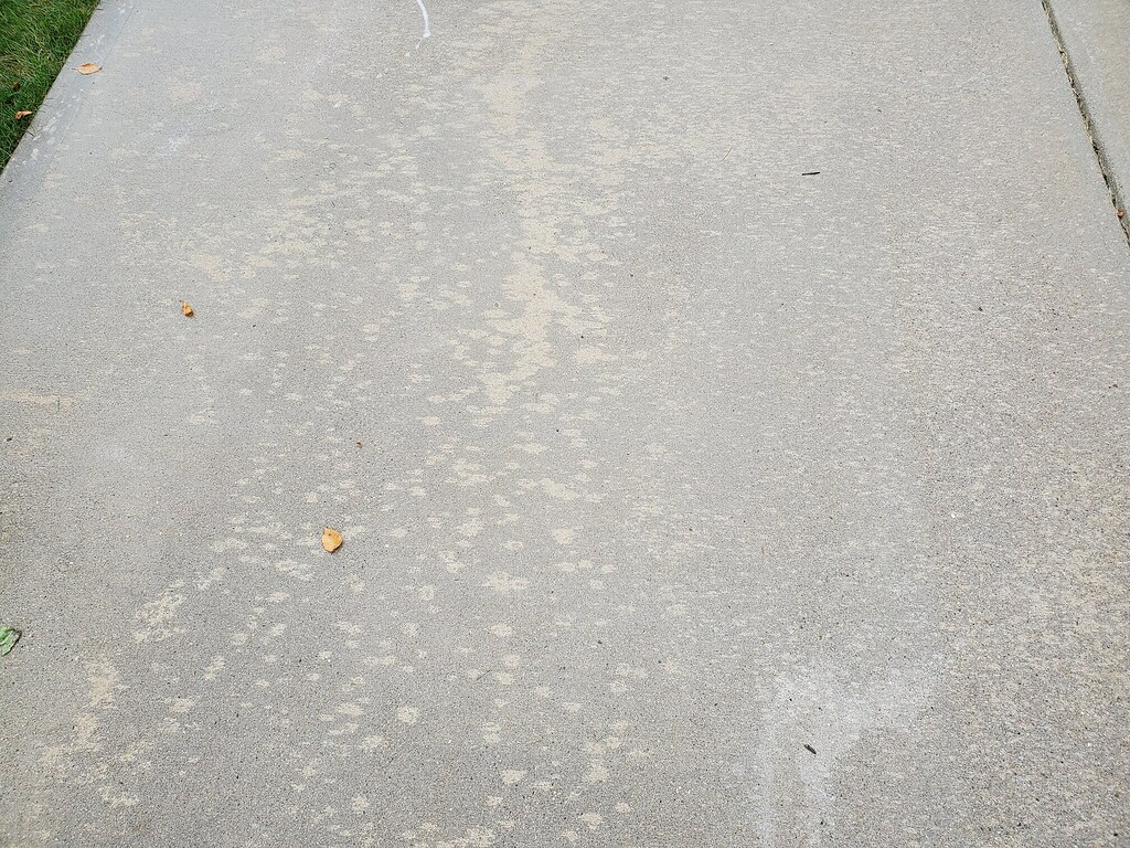 Weird spots on concrete - Stains/Surfaces - Pressure Washing Resource