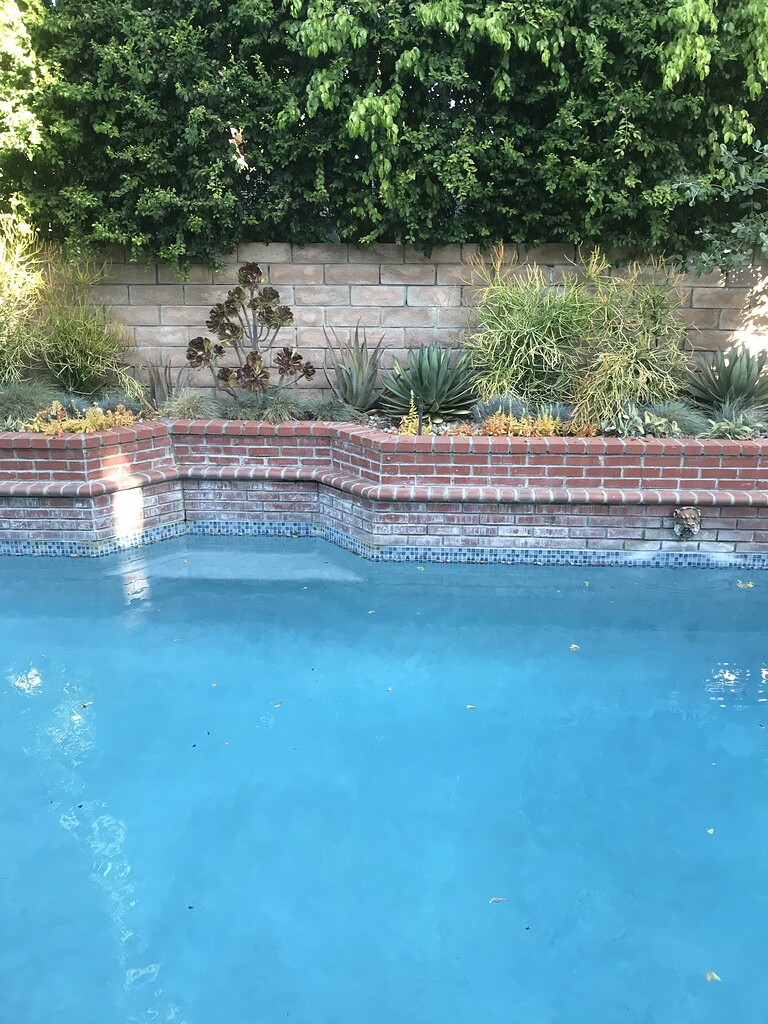 Calcium Build Up On Pool - Residential - Pressure Washing Resource