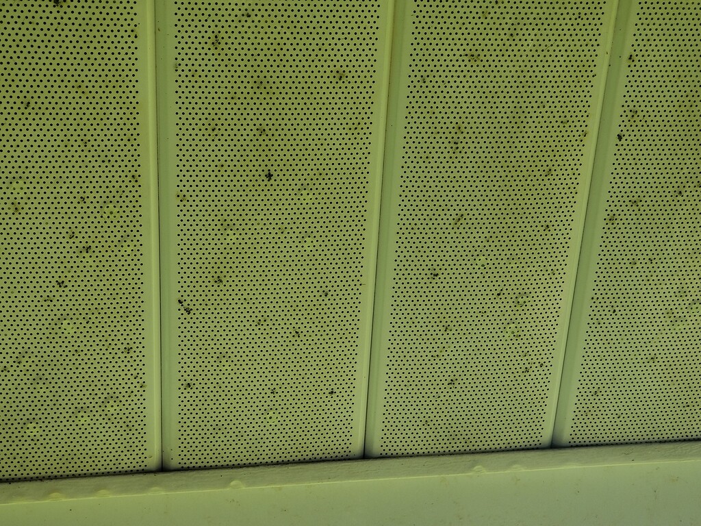 Soffit spots - Newbie Questions - Pressure Washing Resource
