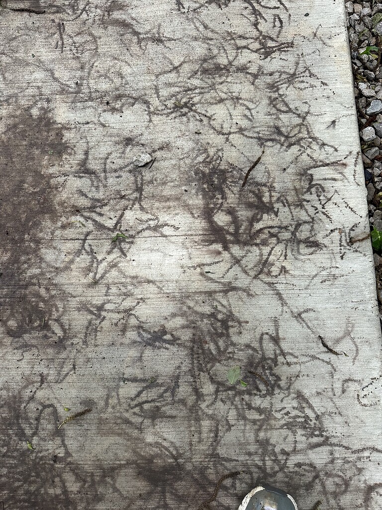 How can I remove the pollen stains off the driveway - Pressure Washing ...