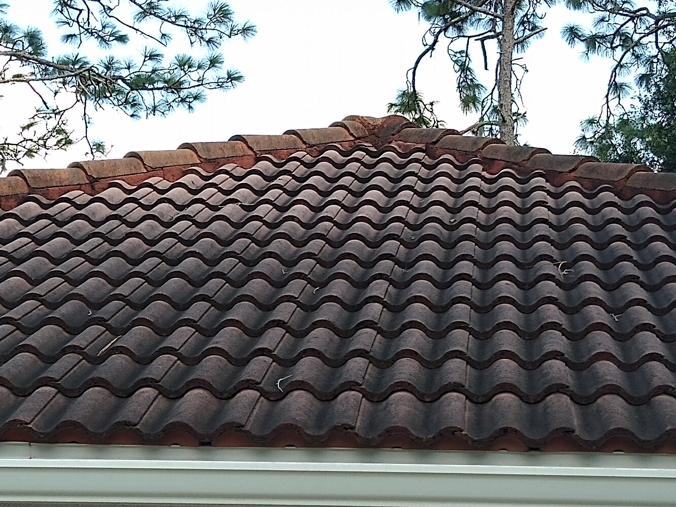 Roof oxidation removal - Roof Cleaning - Pressure Washing Resource