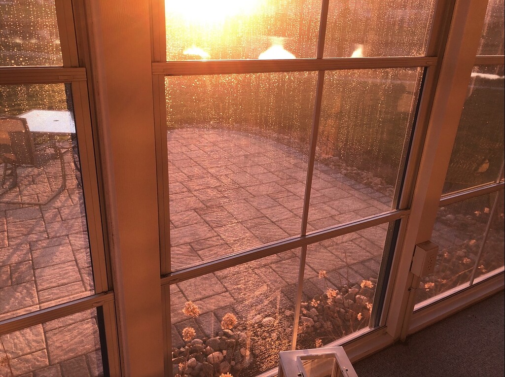 Vinyl Window Spots - Residential - Pressure Washing Resource