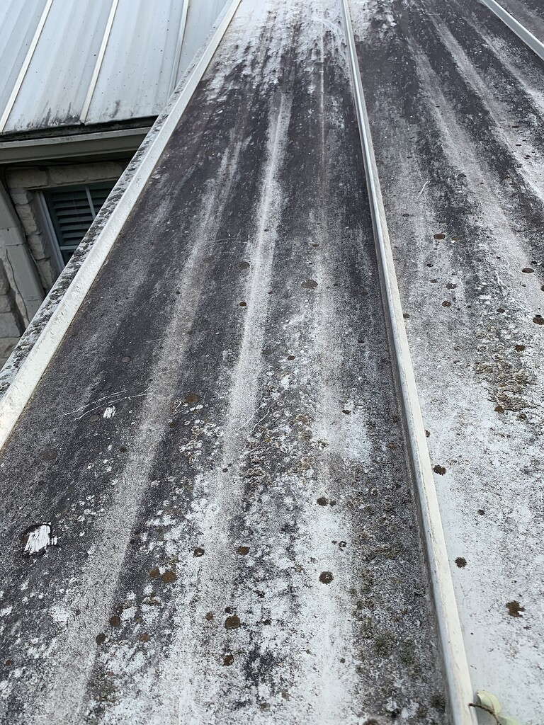 Metal Roof Dried up Mold - Newbie Questions - Pressure Washing Resource