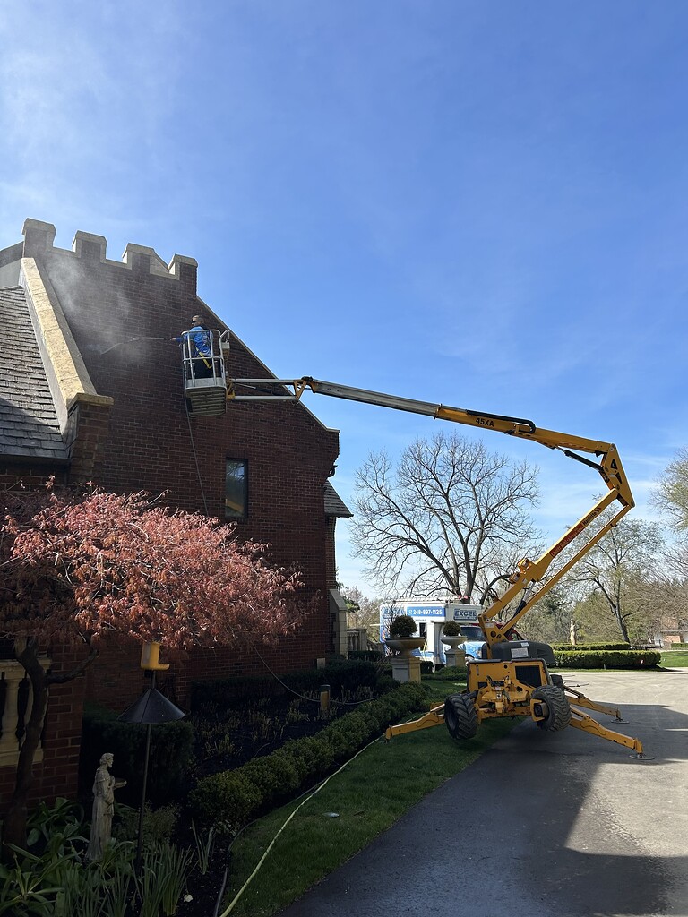 Ivy vine removal - Residential - Pressure Washing Resource