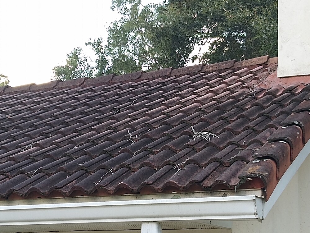 Roof oxidation removal - Roof Cleaning - Pressure Washing Resource