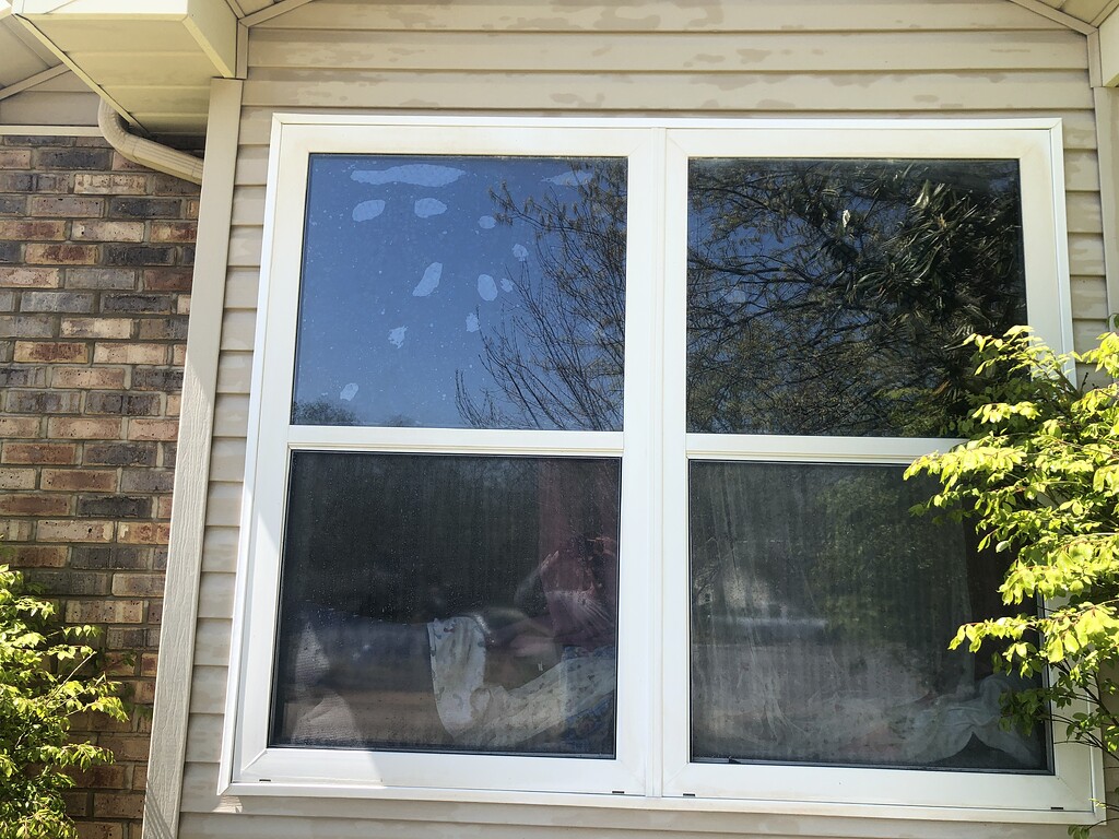 Orange discoloration around windows - Residential - Pressure Washing ...