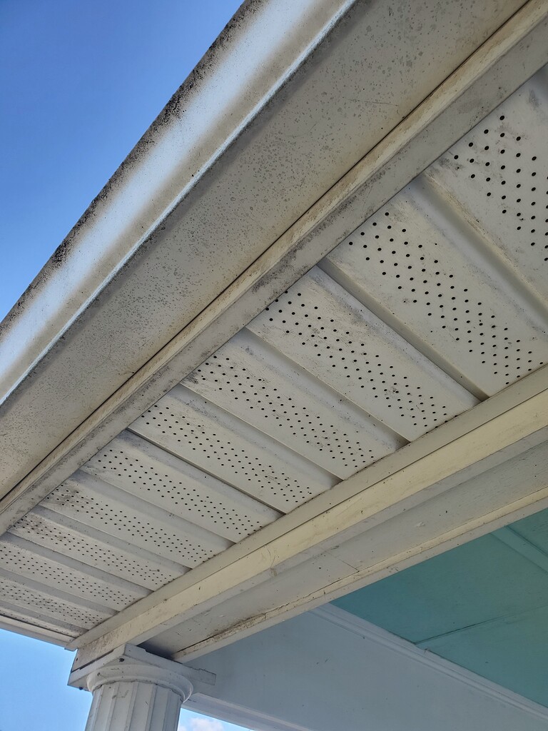 Gutter/Fascia Oxidation - Pressure Washing Resource