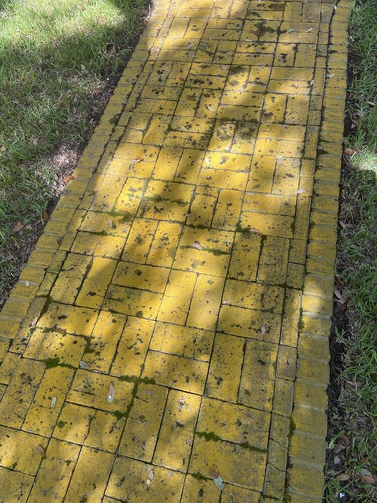 Heavy Algae Brick Pavers - Residential - Pressure Washing Resource