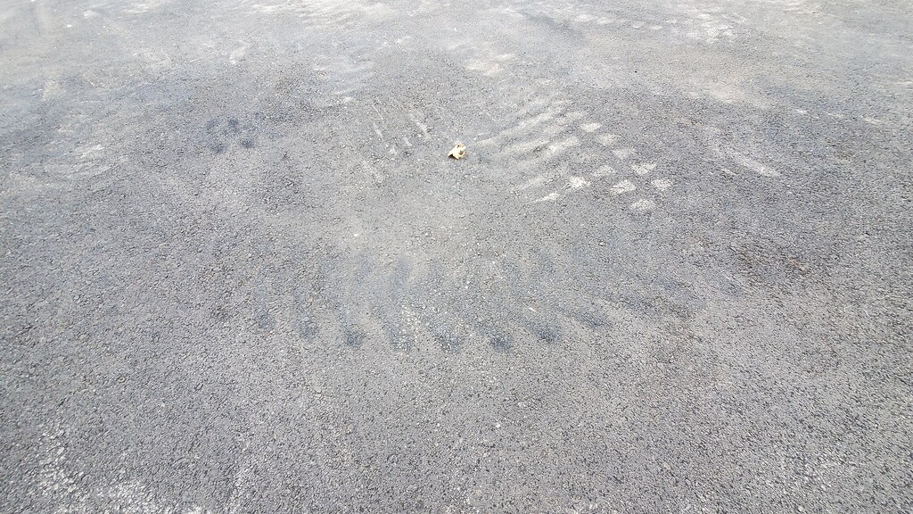 Tire Marks on Asphalt - Stains/Surfaces - Pressure Washing Resource