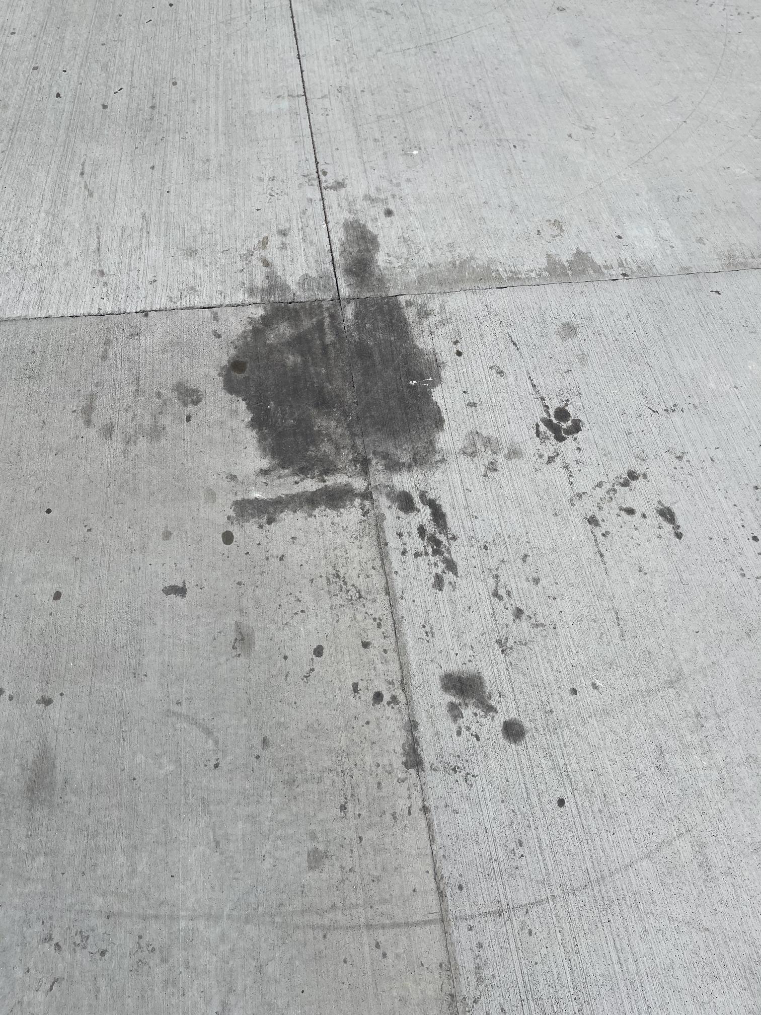2 years of grease staining concrete - Commercial - Pressure Washing ...