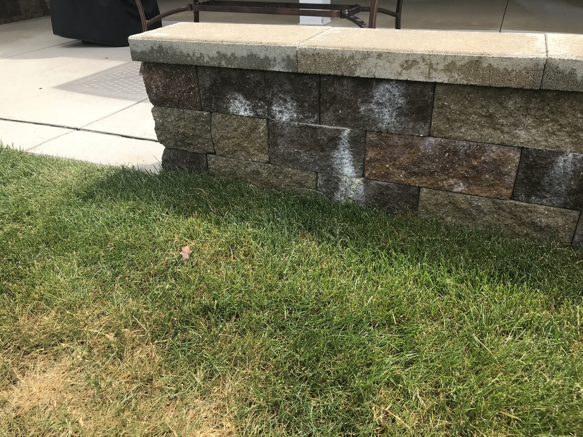 Small patio wall staining - Residential - Pressure Washing Resource